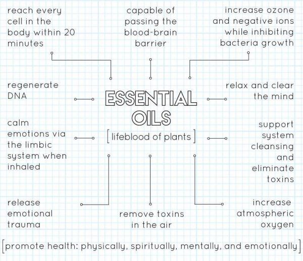 What Are Essential Oils (+ How They Work) - A Pinch of Healthy