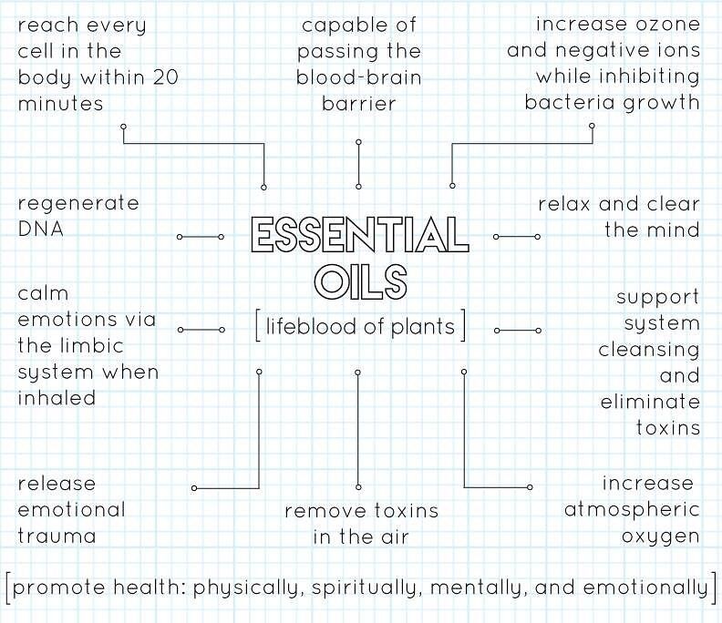 What Are Essential Oils (+ How They Work) - A Pinch of Healthy